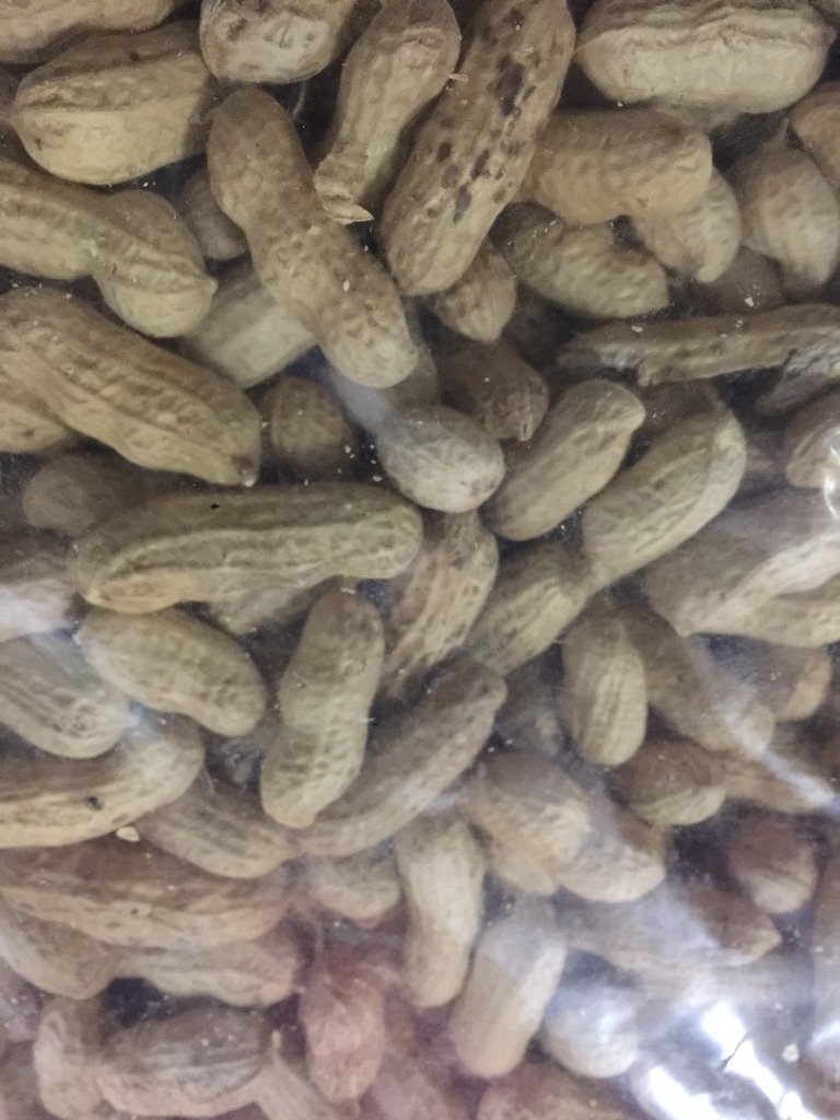Cacahuate con Cascara | GRUPO AREGÓN Cacahuate con Cascara | GRUPO AREGÓN